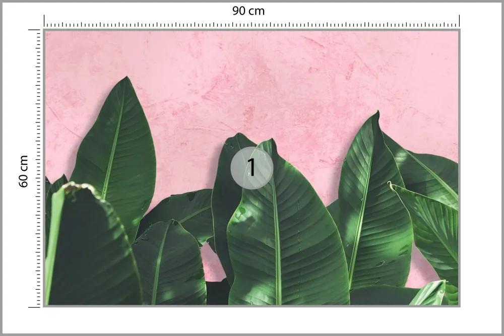 Fototapeta Tropické Rostliny Na Růžovém Pozadí Hladký vinyl 208x146