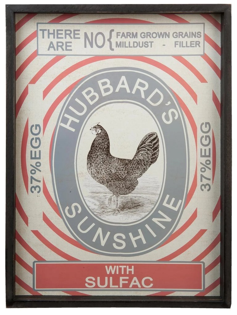Obraz Hubbards Sunshine - 42*3*58 cm