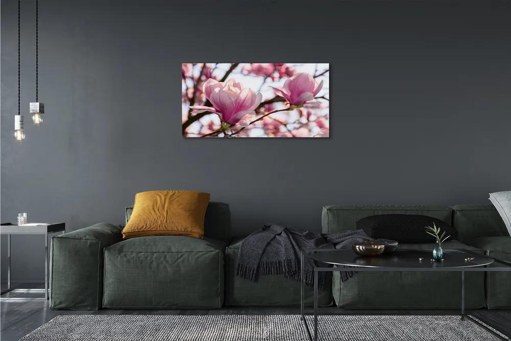 Obrazy na plátně magnolie strom 125x50 cm