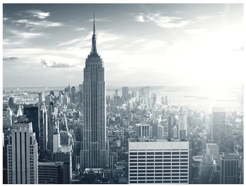 Fototapeta - Amazing view to New York Manhattan at sunrise