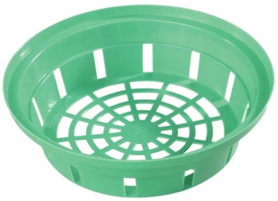 Prosperplast ONION plastový košík na cibuloviny 23cm, zelená IKCE2