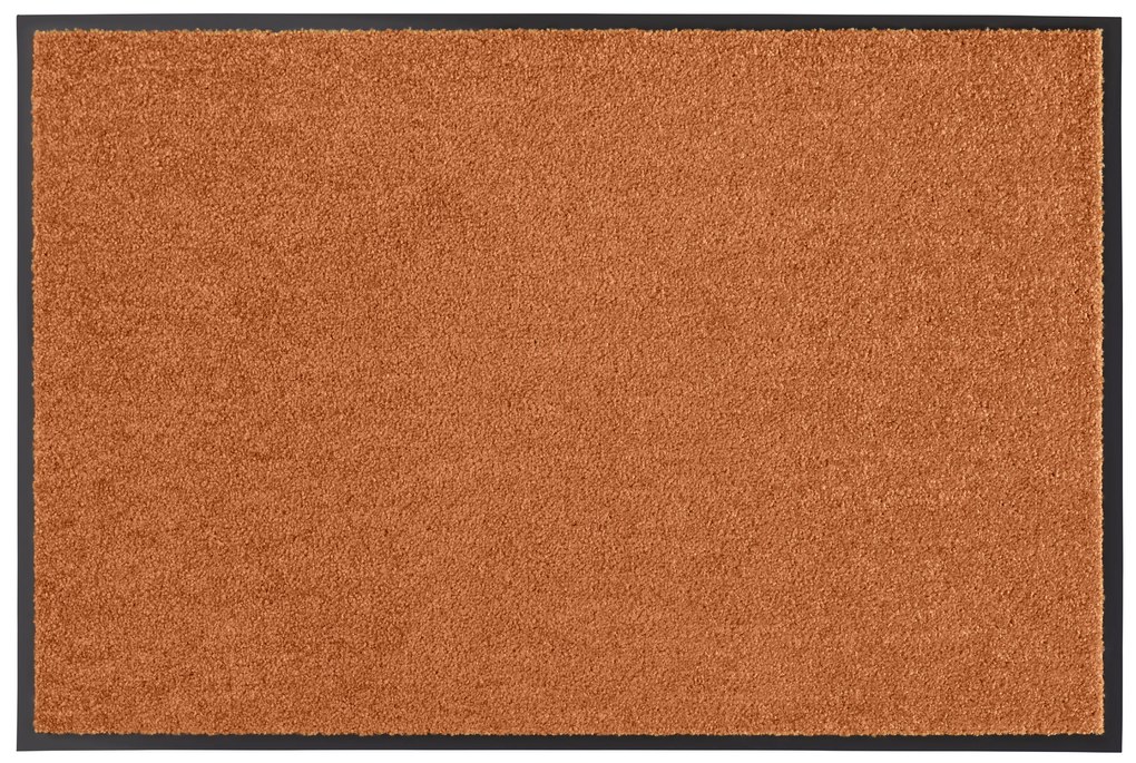 Hanse Home Collection koberce Rohožka Wash & Clean 101469 Orange ROZMĚR: 40x60