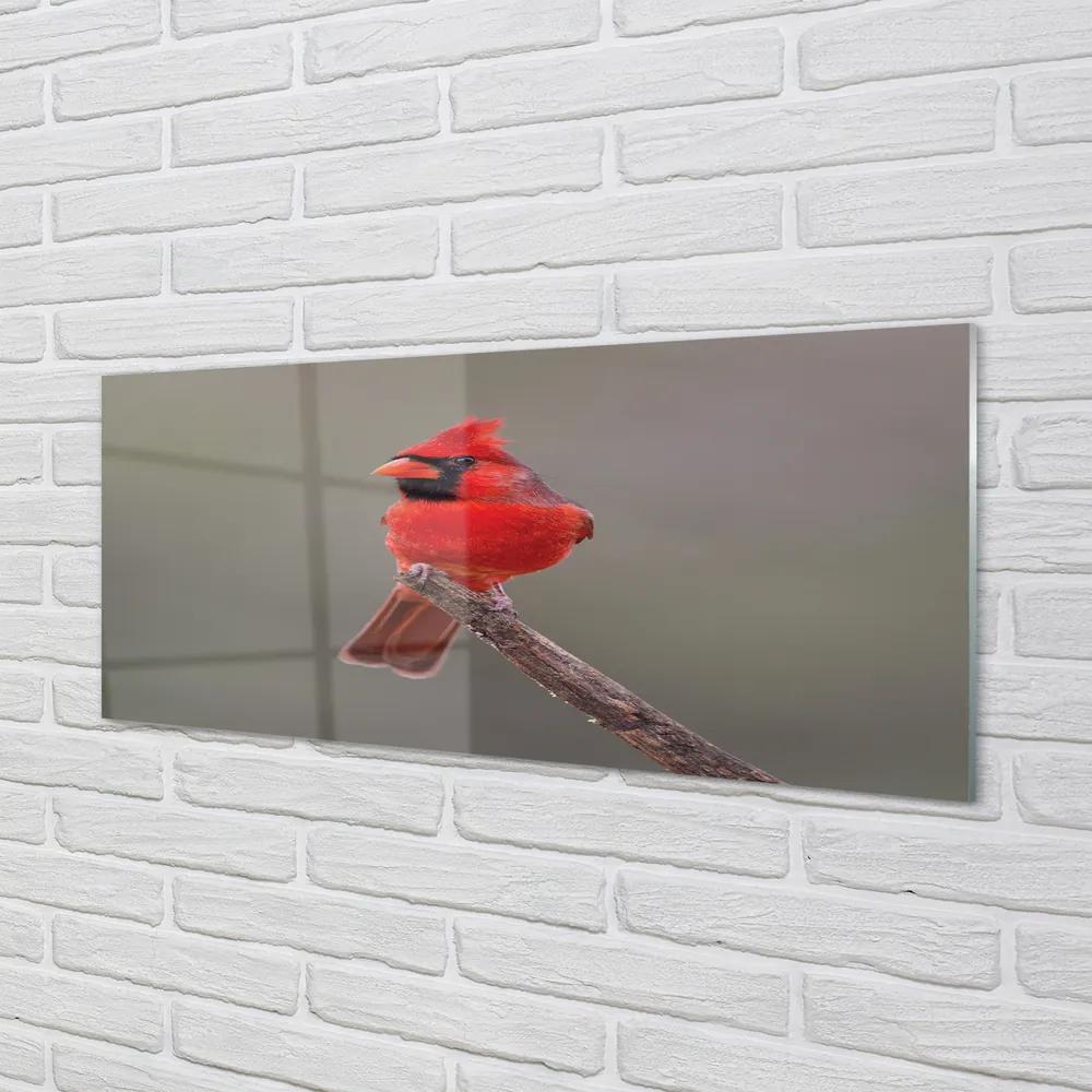 akrylový obraz Red papoušek na větvi 120x60 cm