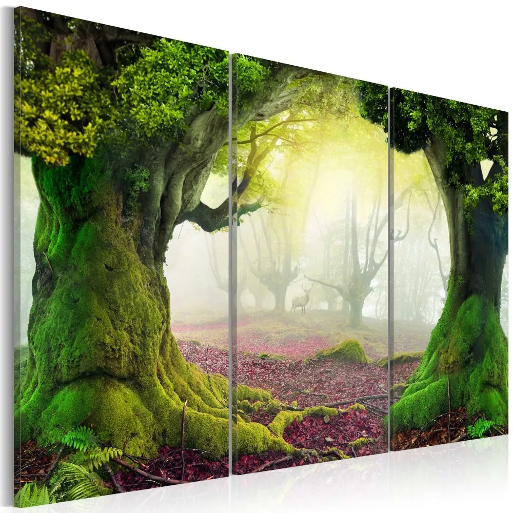 Obraz na plátně Bimago - Mysterious forest - triptych 90x60 cm