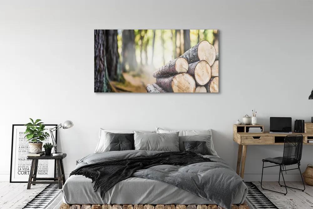 akrylový obraz Dříví prales přírodě 140x70 cm