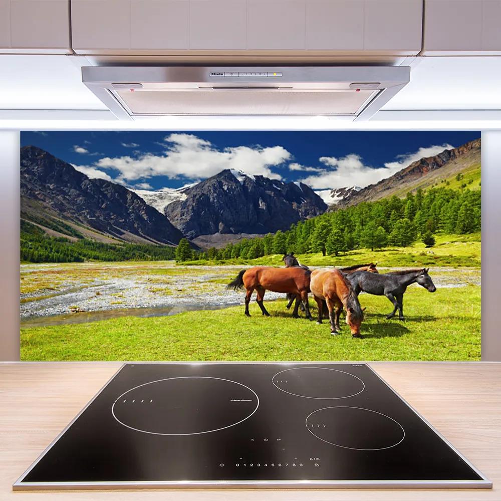 Skleněné obklady do kuchyně Hory Stromy Koně Zvířata 125x50 cm