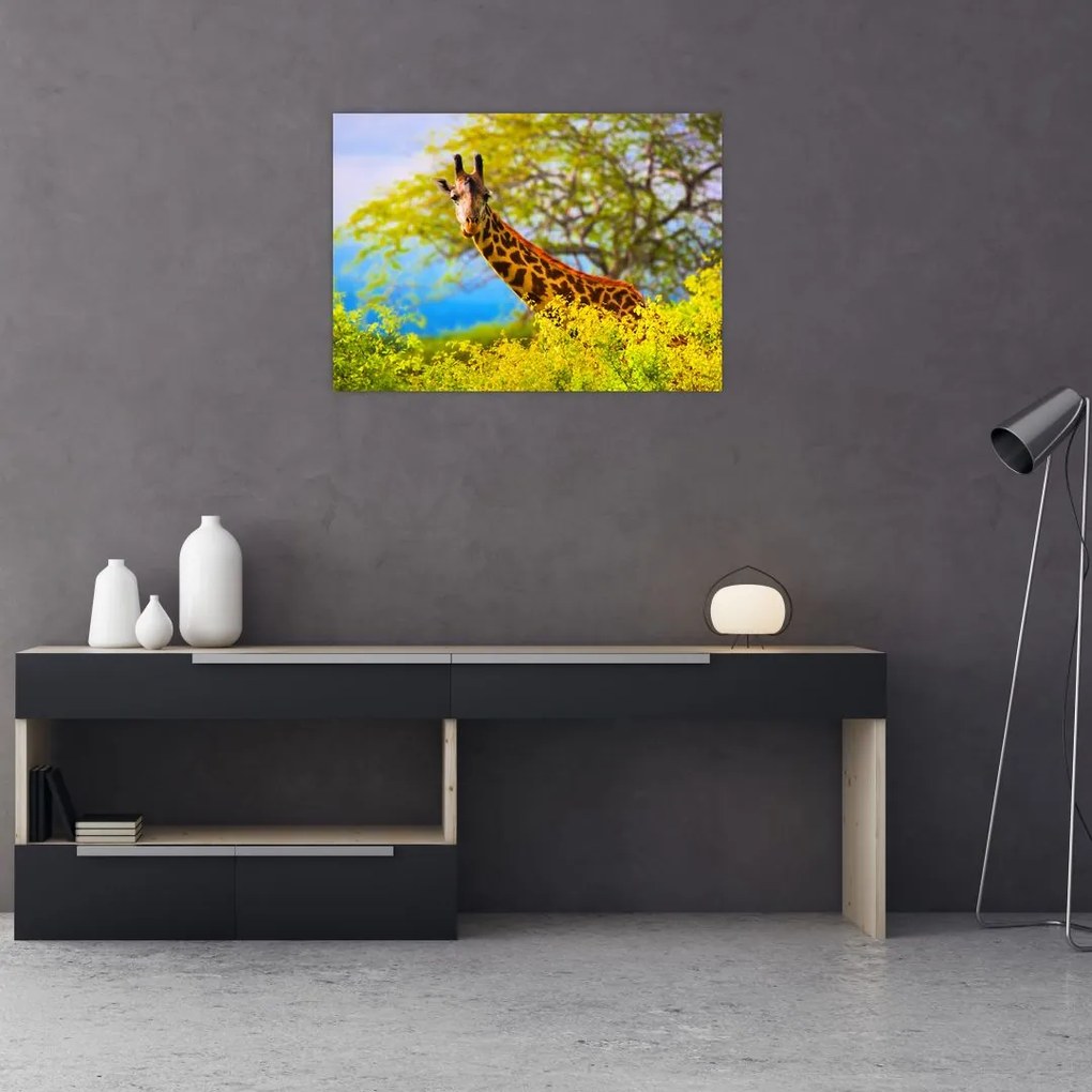 Skleněný obraz žirafy v Africe (70x50 cm)