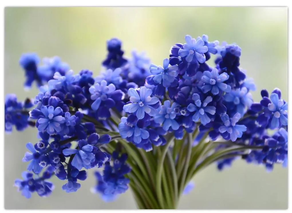 Skleněný obraz kytice modrých květů (70x50 cm)