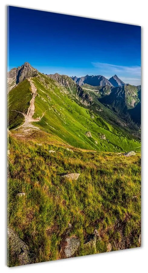 Wallmuralia Moderní foto-obraz akryl na stěnu Tatry 50x100 cm