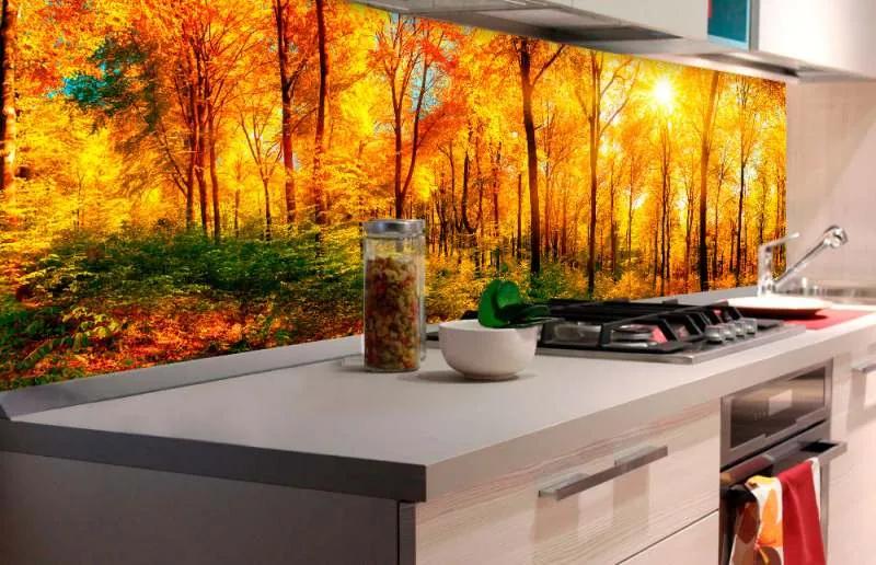 Samolepící fototapeta do kuchyně - Prosluněný les, 180x60cm, 084