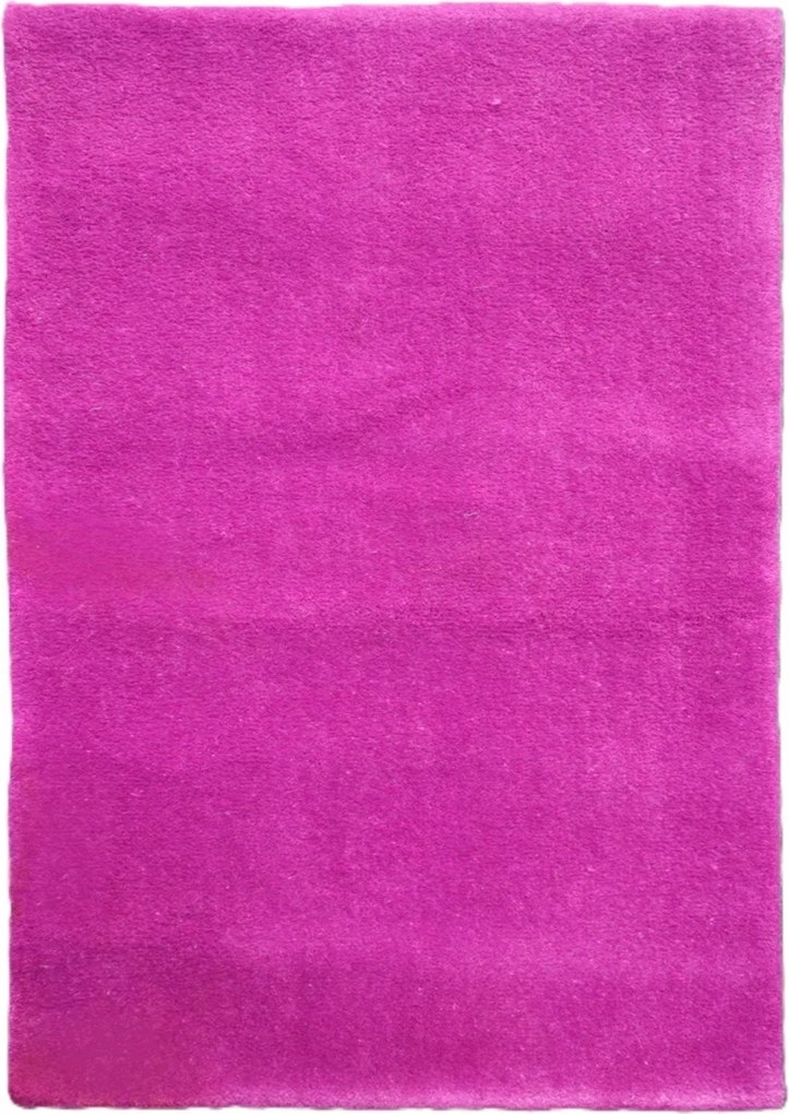 Asra, Ručně všívaný kusový koberec Asra wool lila, 120x170, růžová, ložnice