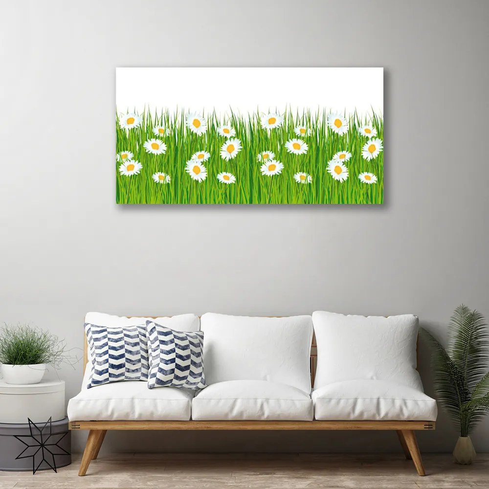 Obraz na plátně Tráva Sedmikrásky Příroda 140x70 cm