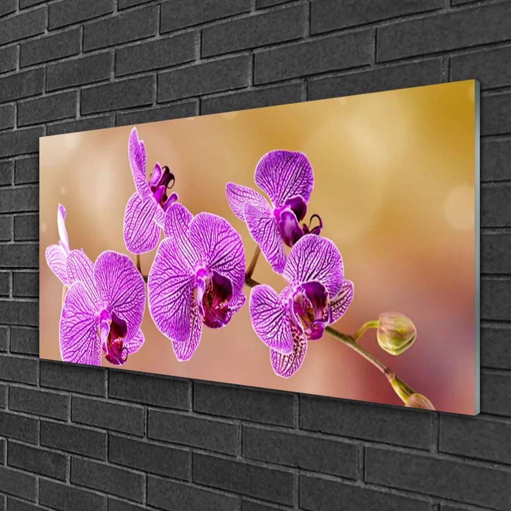 Obraz na skle Orchidej Výhonky Květiny Příroda 100x50 cm