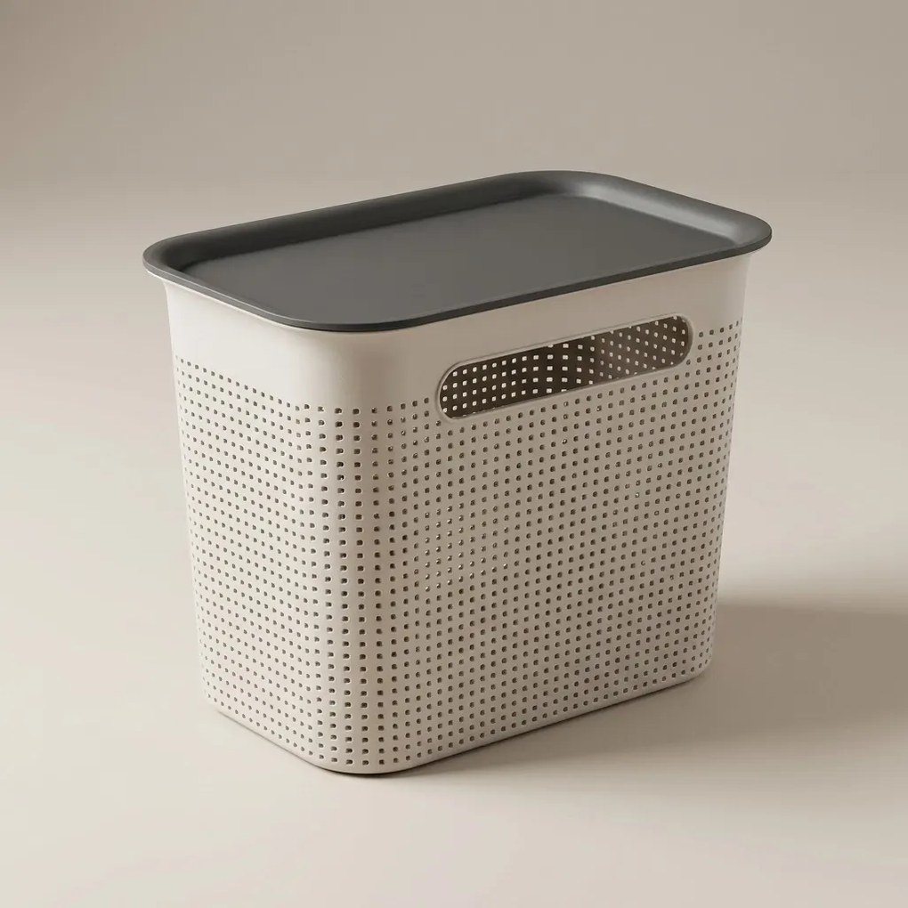 Rotho Úložný box s víkem a s madly BRISEN 7l, 26x18x21cm, bílý