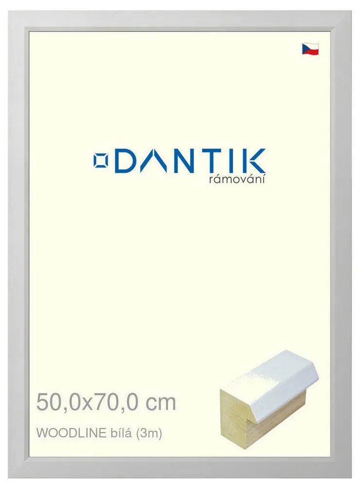 DANTIK rámeček 50x70 | WOODLINE bílá (Plexi Čiré)