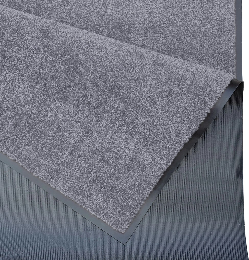 Hanse Home, Rohožka Wash & Clean 101464 Grey, 40x60, šedá, chodba / předsíň