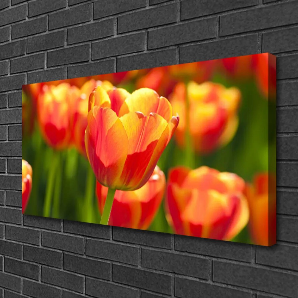 Obraz na plátně Tulipány Květiny Rostlina 140x70 cm