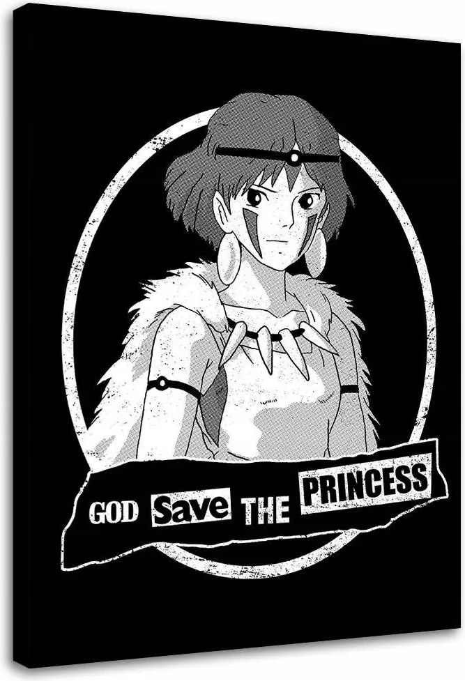 Obraz plátno God Save The Princess DDJVigo 40x60