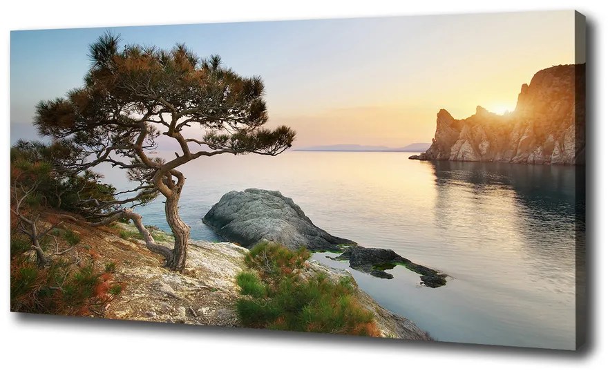 Wallmuralia Foto obraz na plátně Strom nad mořem 100x50 cm
