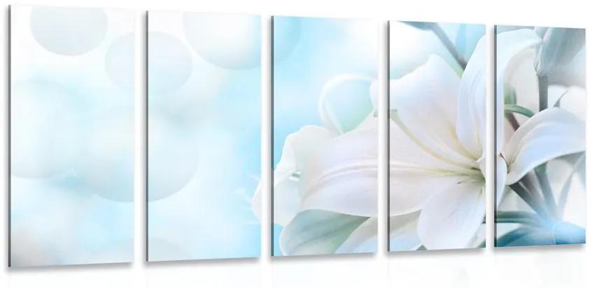 5-dílný obraz bílý květ lilie na abstraktním pozadí Varianta: 100x50