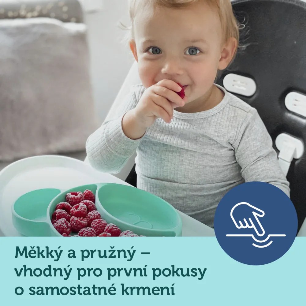 Canpol babies Silikonový dělený talíř s přísavkou MEDVÍDEK tyrkysový