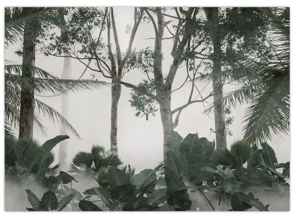 Skleněný obraz - Jungle v ranní mlze (70x50 cm)