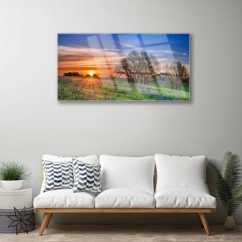 Obraz na skle Louka Slunce Krajina 125x50 cm