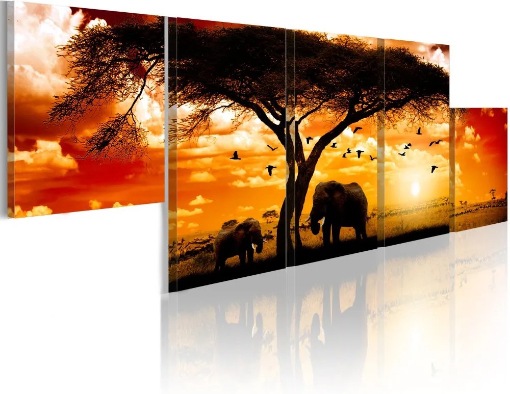 Obraz na plátně Bimago - Red sunset - Africa 100x30