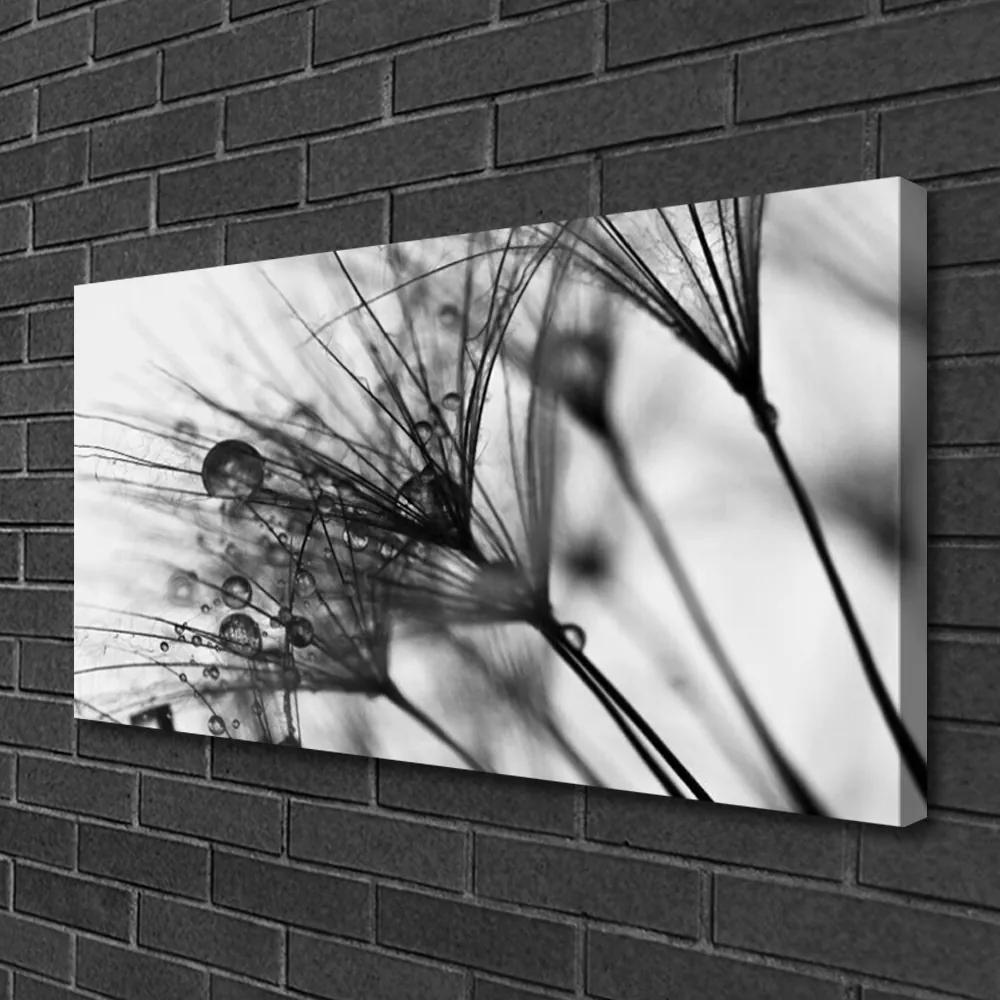 Obraz na plátně Abstrakce Rostlina 120x60 cm