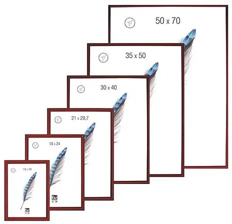 Rám na obraz Virius 2 13X18 cm červený