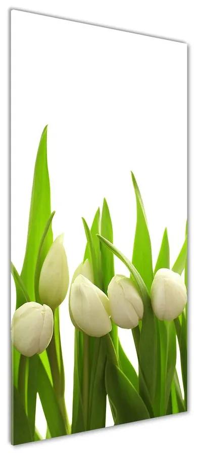 Wallmuralia Foto obraz fotografie na skle Bílé tulipány 50x125 cm
