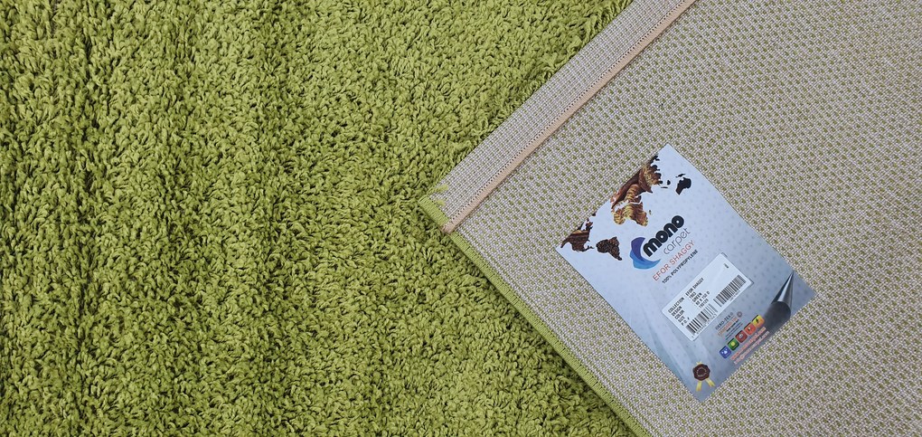 Mono Carpet, Kusový koberec Efor Shaggy 1903 Green, 120x170, zelená, ložnice