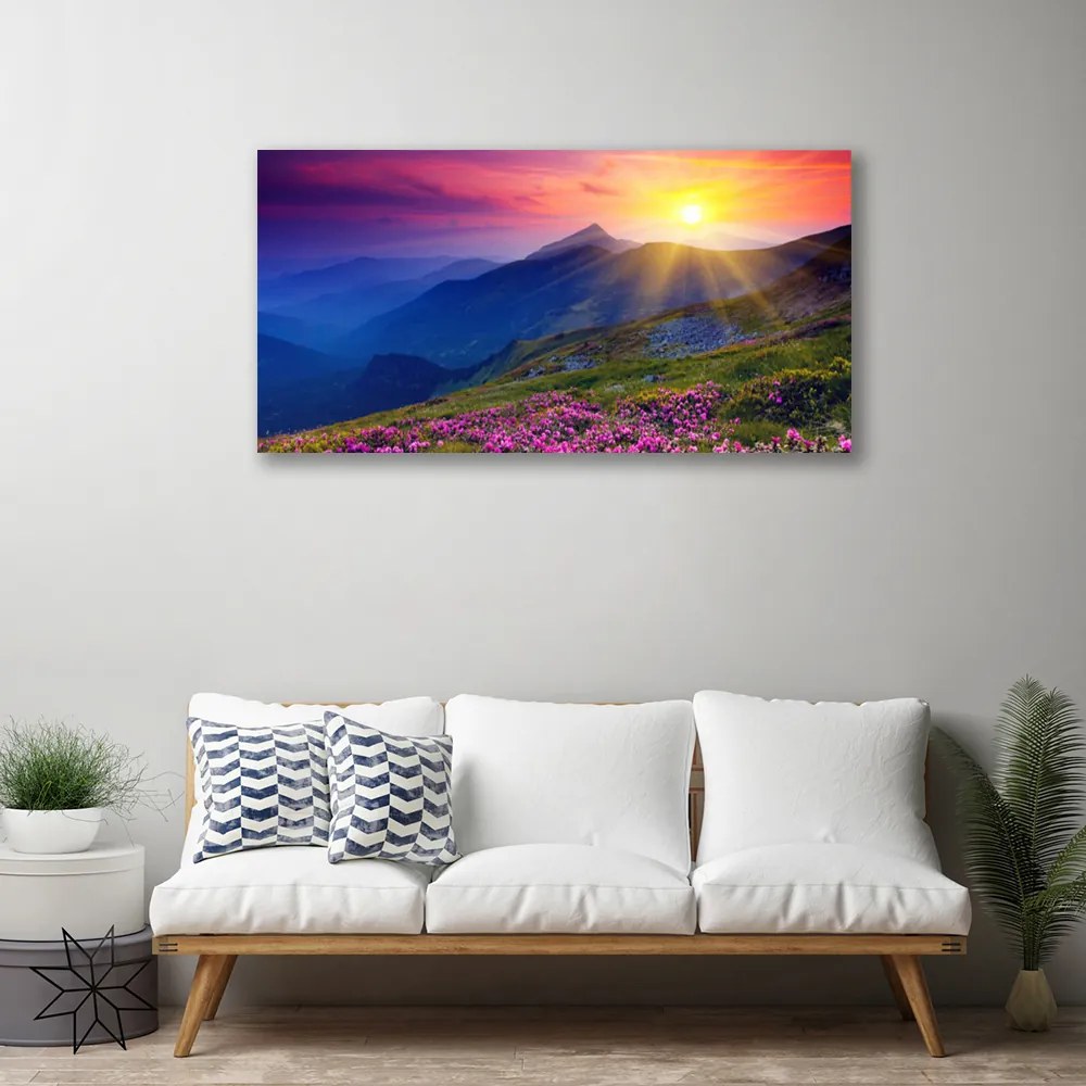 Obraz na plátně Hory Květ Louka Krajina 120x60 cm