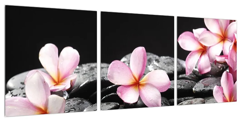 Obraz květů (90x30 cm)