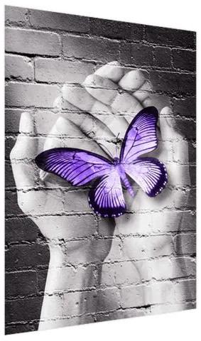 Fototapeta Fialový motýl na dlaních 150x200cm FT2389A_2M | BIANO