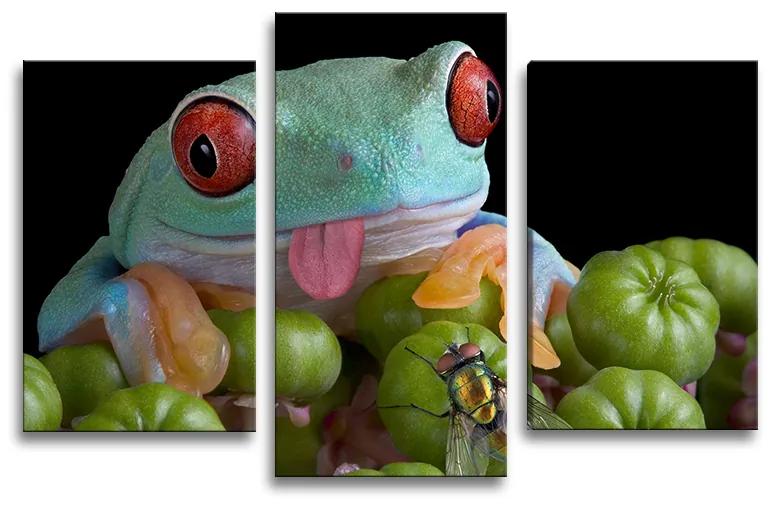 Sablio Obraz - 3-dílný Veselá žába - 75x50 cm