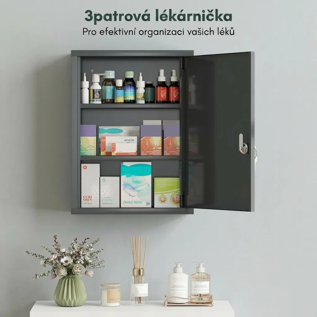 Lékárnička uzamykatelná se 3 přihrádkami, antracitová, 40 x 15 x 53,5 cm 834-554V01GB