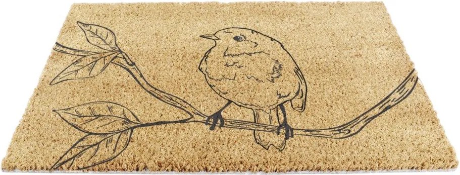 Rohožka z kokosového vlákna 40x60 cm Pencil Robin – Artsy Doormats