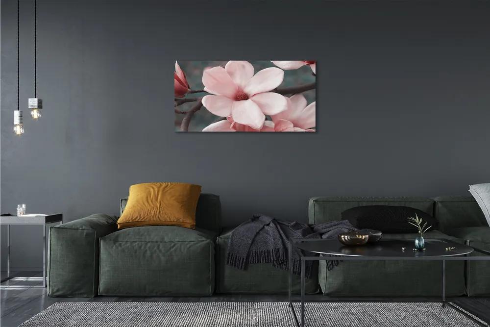 Obrazy na plátně růžové květy 120x60 cm