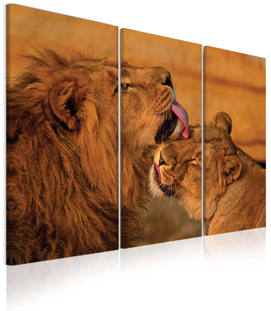 Malvis ® Vícedílný obraz - Lev a lvice Velikost: 90x60 cm