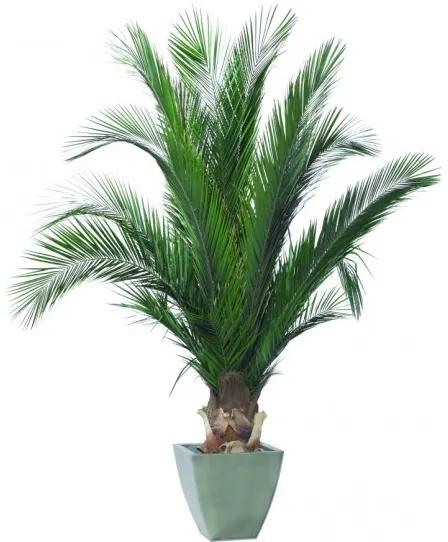 Phoenix palm tree 100 cm