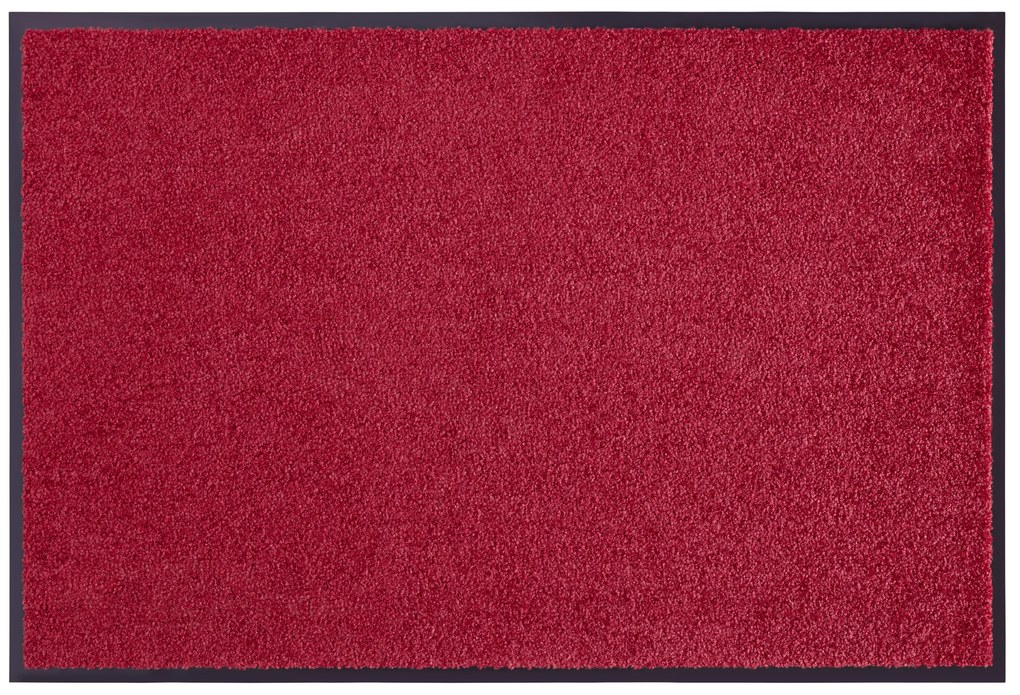 Hanse Home Collection koberce Rohožka Wash & Clean 101466 Bordeaux ROZMĚR: 40x60