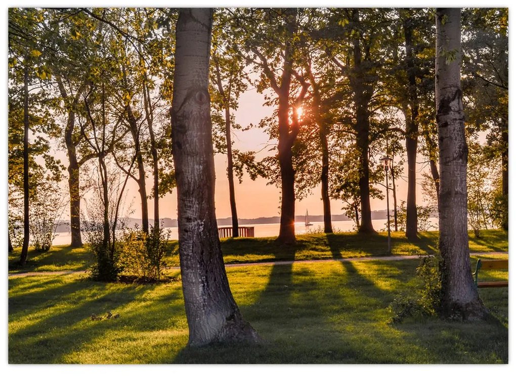 Skleněný obraz stromů u jezera (70x50 cm)