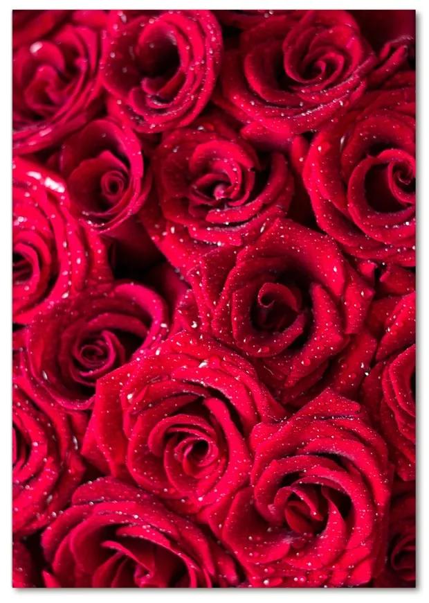 Wallmuralia Foto obraz sklo tvrzené Červené růže 70x100 cm