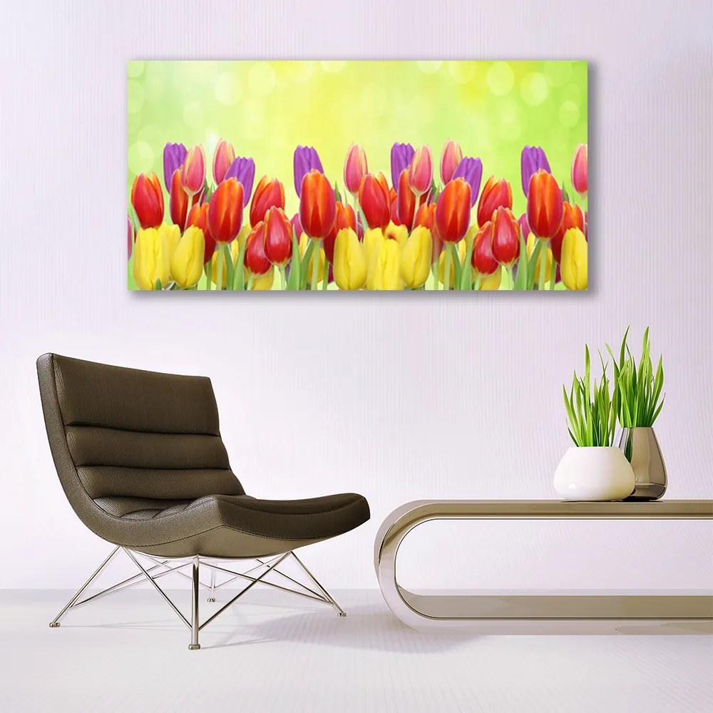 akrylový obraz Tulipány Květiny Rostlina 120x60 cm