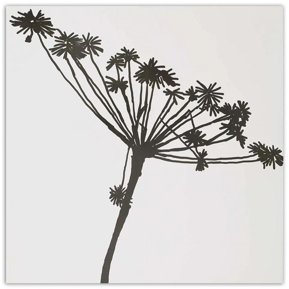 Obraz na plátně Rostlina Černá a bílá - 30x30 cm