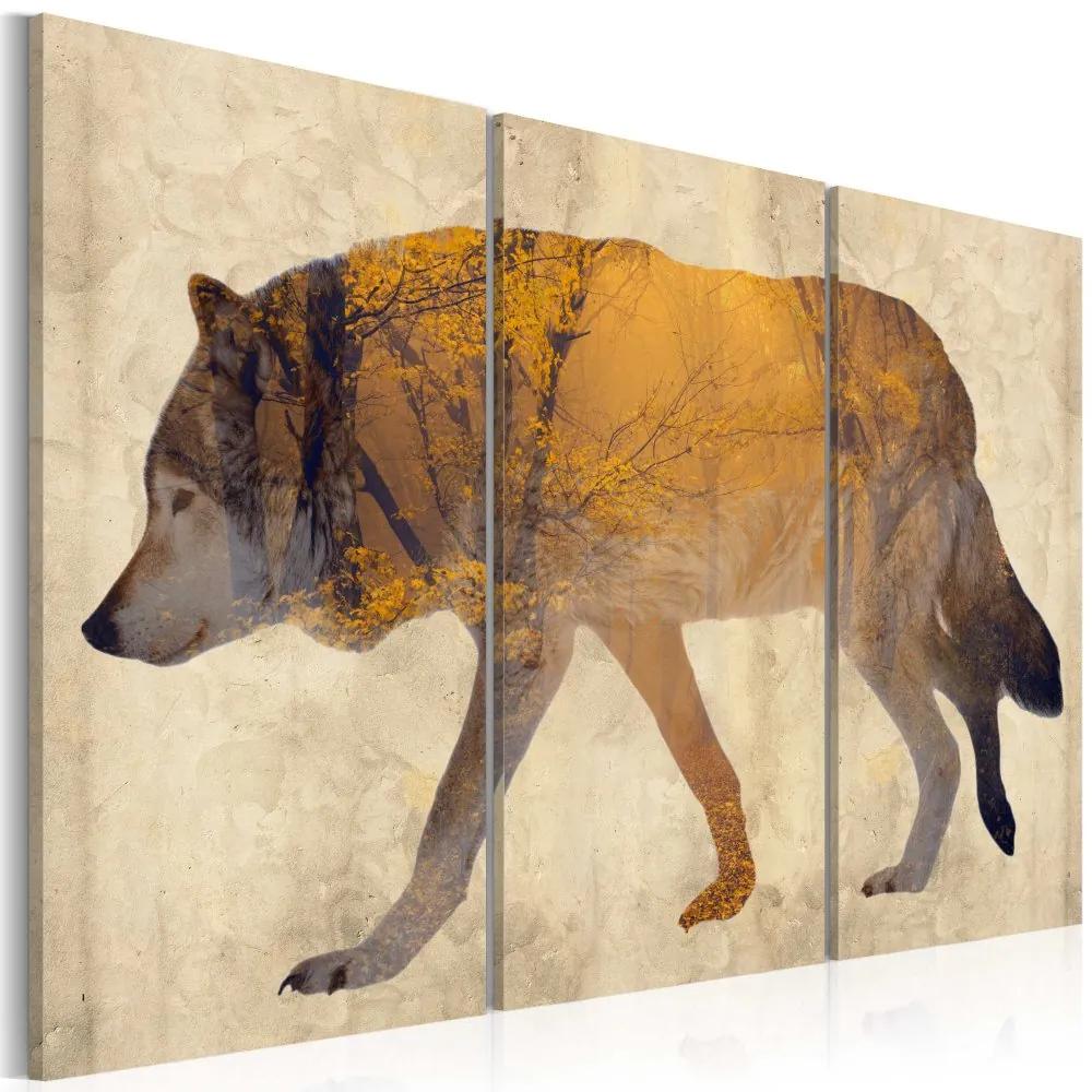 Obraz na plátně Bimago - The Wandering Wolf 60x40 cm