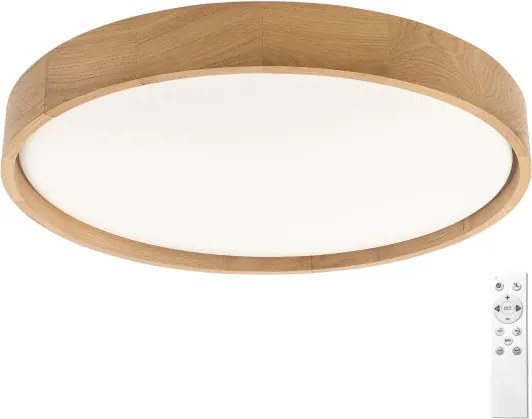 BRILAGI - LED Stm stropní svítidlo MANAROLA LED/36W/230V 3000-6500K pr. 51 cm+DO