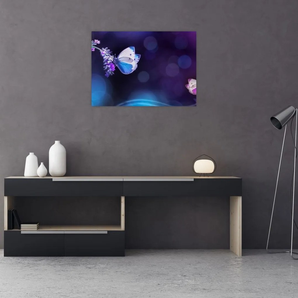 Skleněný obraz - Motýli na levanduli (70x50 cm)