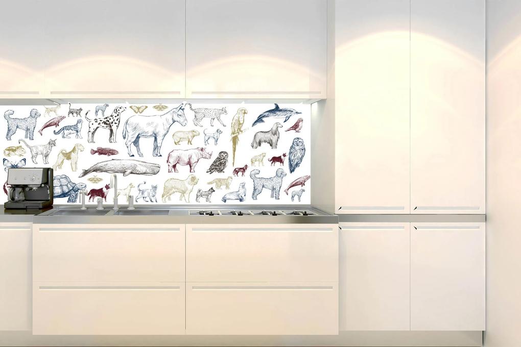 DIMEX | Fototapeta do kuchyně Sbírka zvířat KI-180-185 | 180 x 60 cm | bílá, šedá, modrá